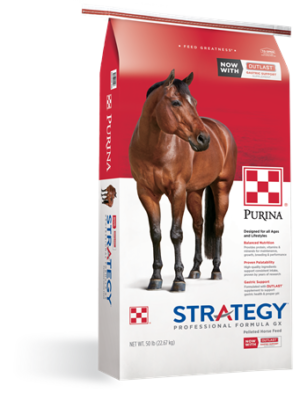 Purina Strategy Horse Feeds Product Updates :: New Braunfels Feed & Supply